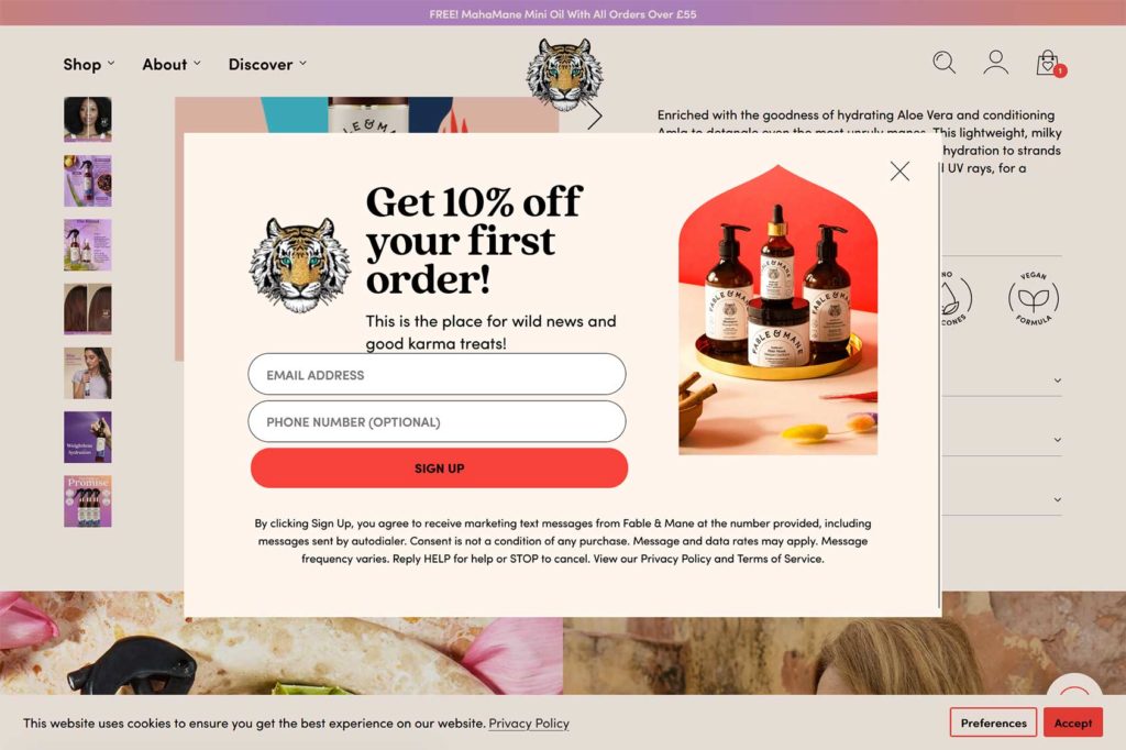 20+ High-Converting Examples of eCommerce Popups