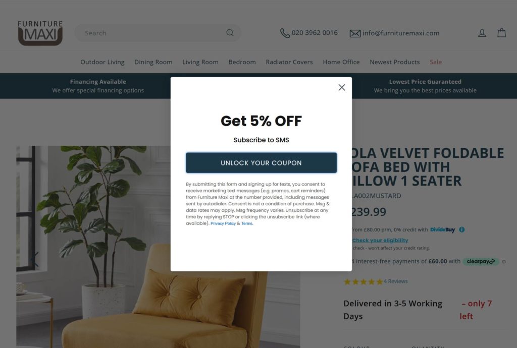 20+ High-Converting Examples of eCommerce Popups